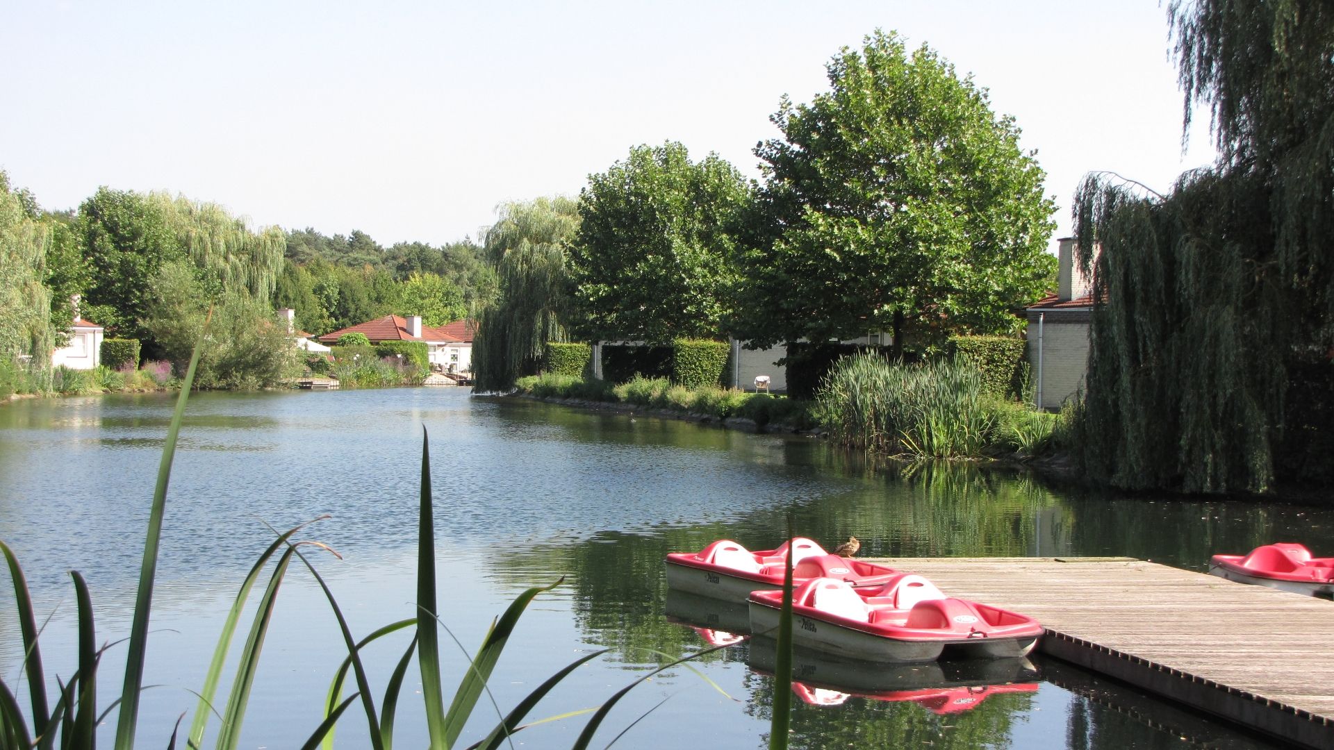 RecreatieParc De Witte Vennen in Oostrum - the best offers!