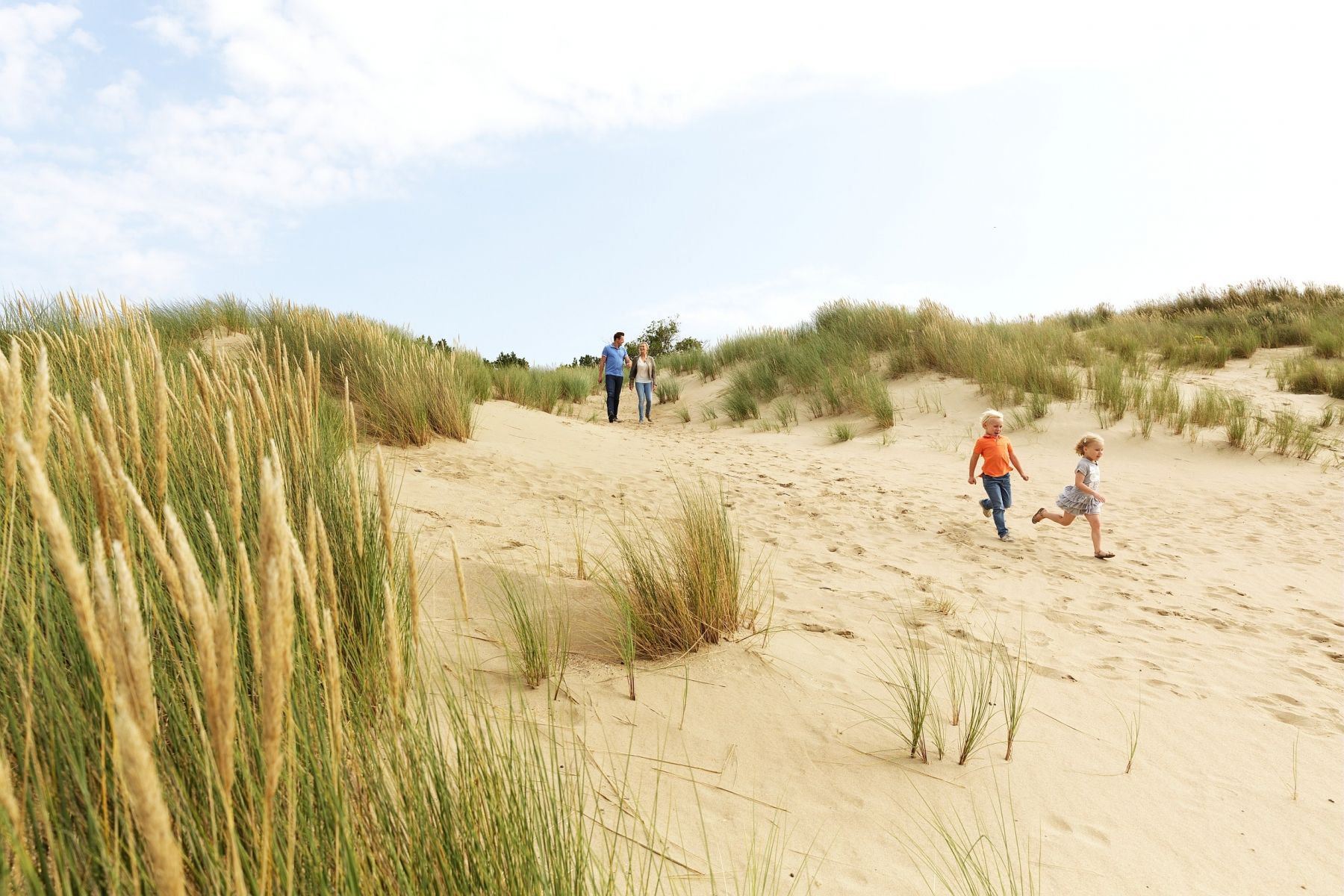 Sunparks Oostduinkerke aan Zee in Oostduinkerke - die besten Angebote!