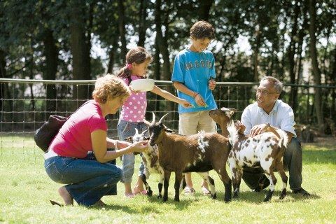 Landal Kasteeldomein De Cauberg in Valkenburg - BungalowSpecials