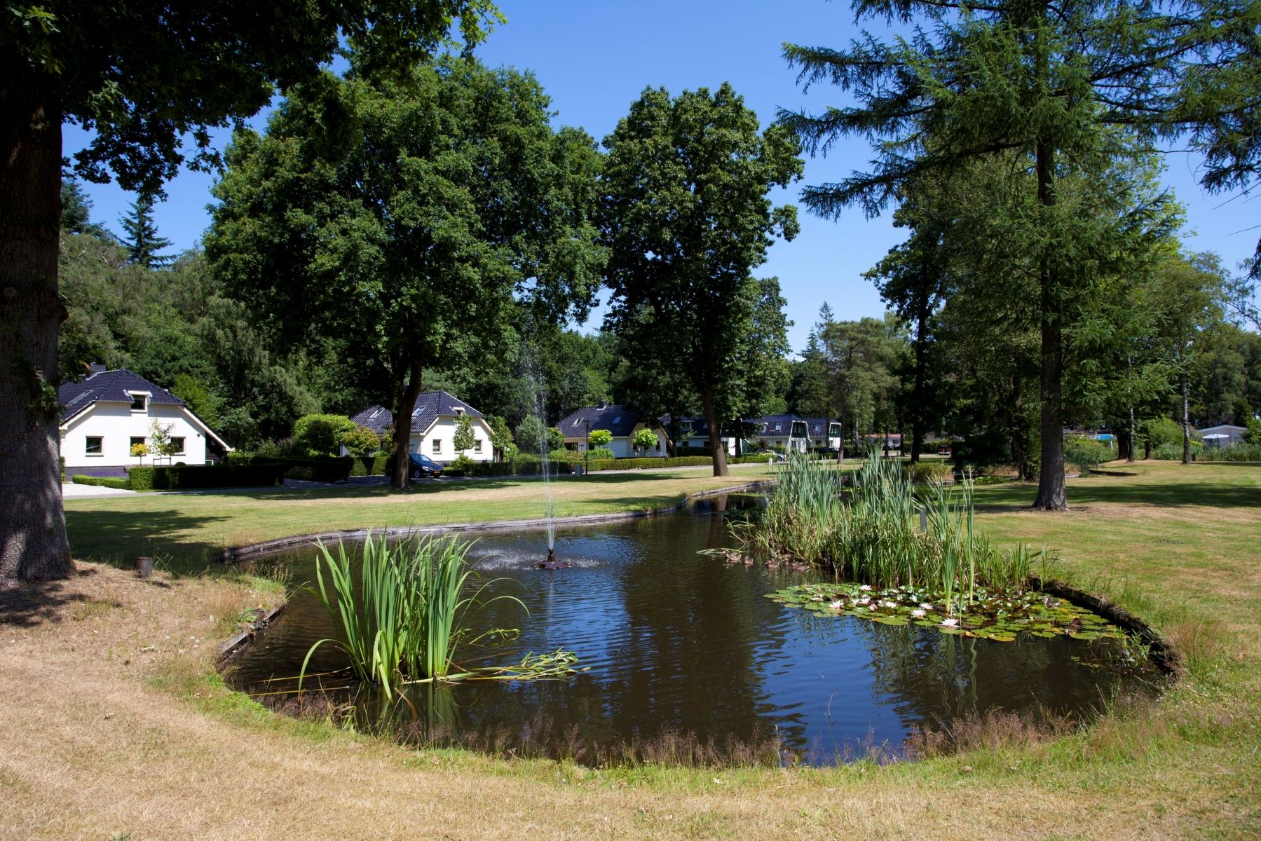 TopParken Bospark Ede in Ede - de beste aanbiedingen!