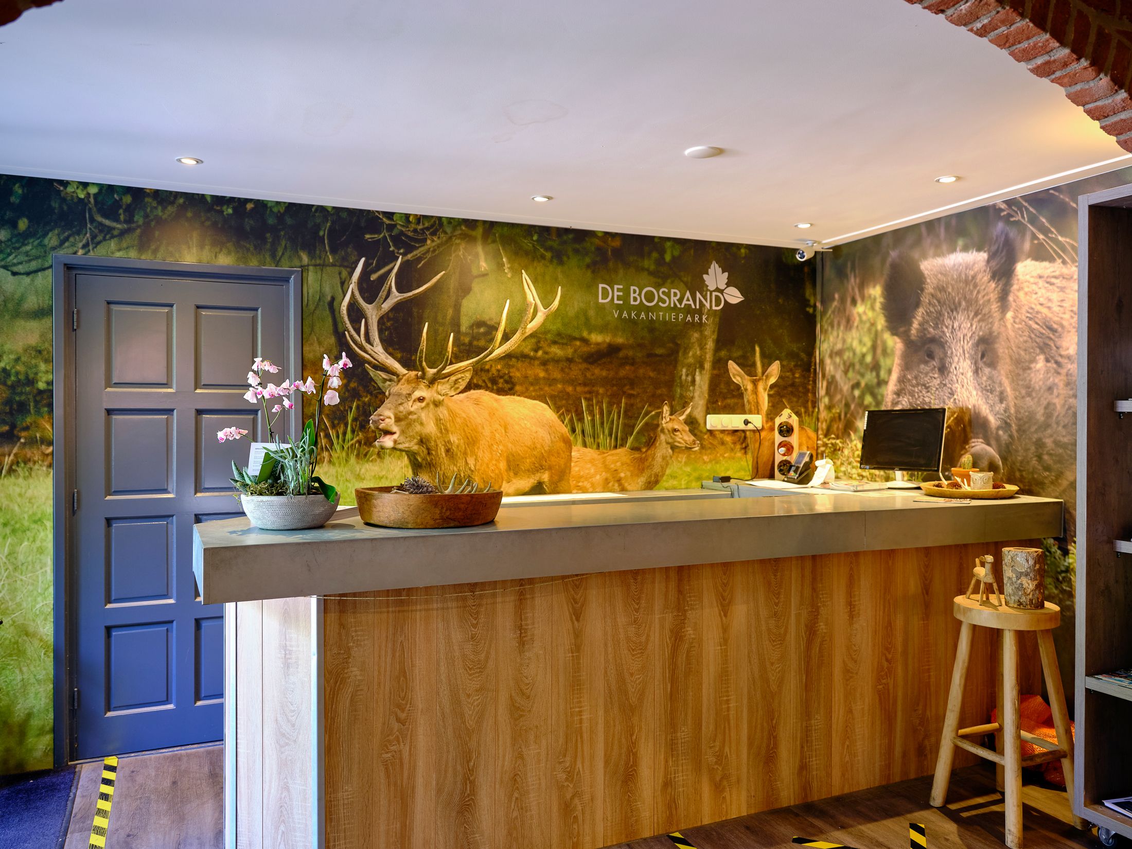 Vakantiepark De Bosrand in Vaassen - the best offers!